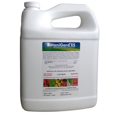 Botanigard ES Mycoinsecticide Insecticide, BioWorks | Forestry ...