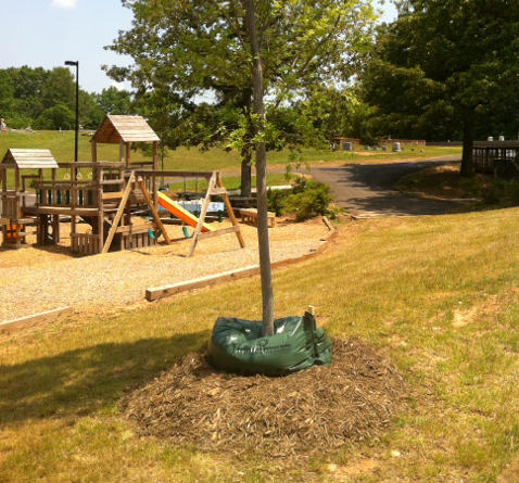 Ooze Tube Professional Tree Establishment Systems | Forestry ...